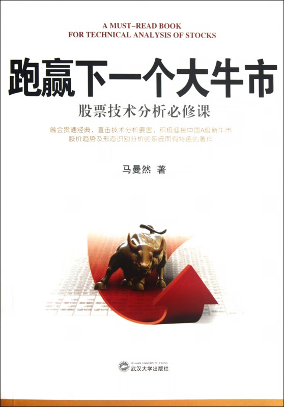 跑赢下一个大牛市(股票技术分析必修课)