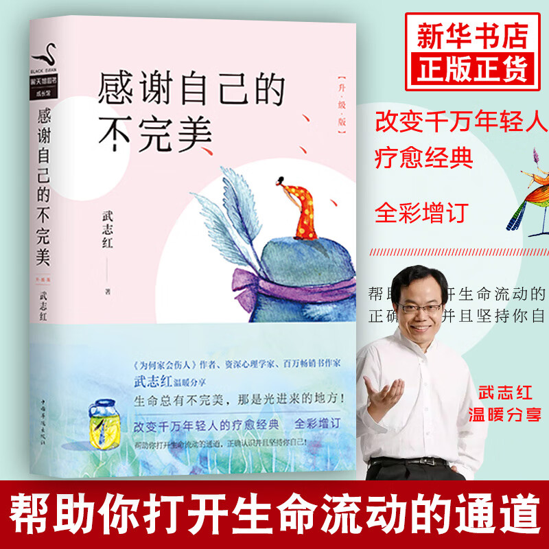 感谢自己的不完美(升级版) 武志红青春成长系列 青春文学小说成功励