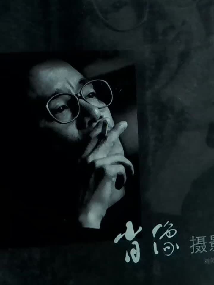 刘荧肖像摄影秘籍9787214146816