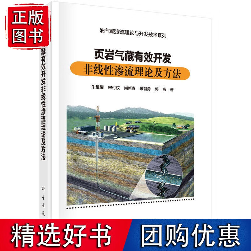 页岩气藏有效开发非线性渗流理论及方法