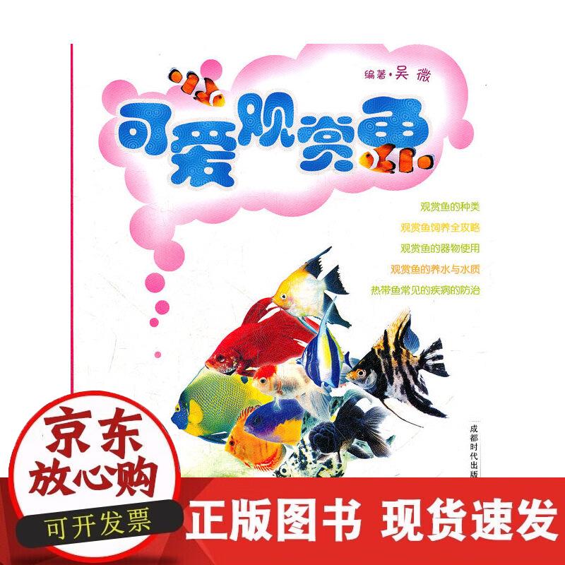 【现货】可爱观赏鱼