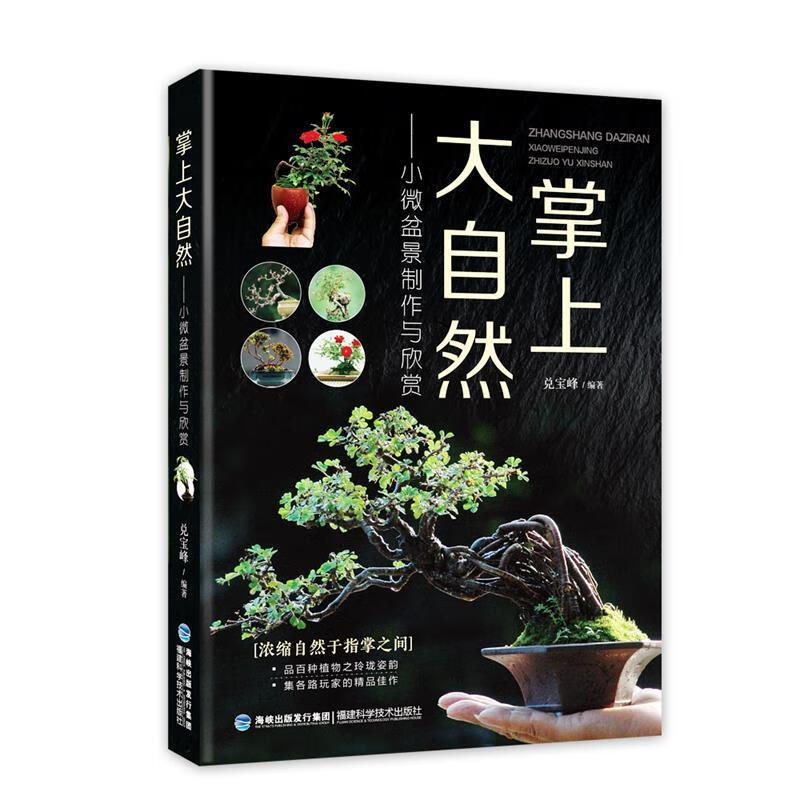 掌上大自然-小微盆景制作与欣赏