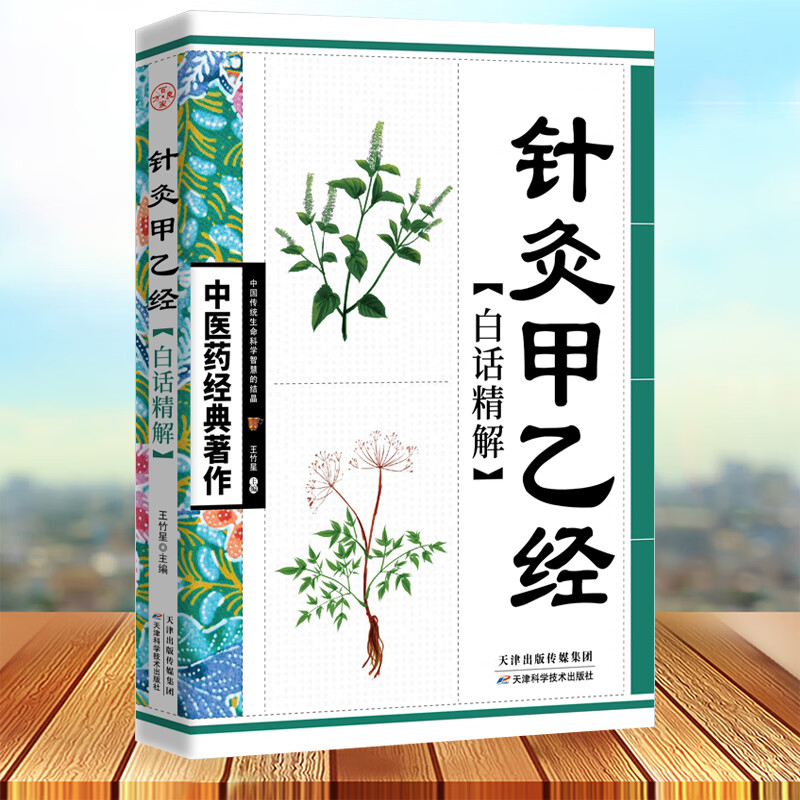 针灸甲乙白话精解中医药经典著作中华养生经典白话精解养生经中医参考书籍中医养生中医学入门书籍类书籍