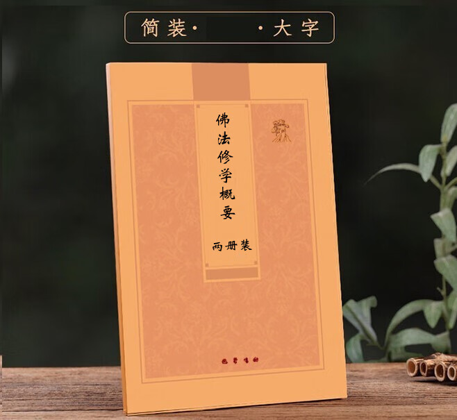 多请优惠简体横排简装佛法修学概要两册装