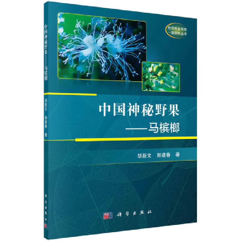 中国神秘野果——马槟榔