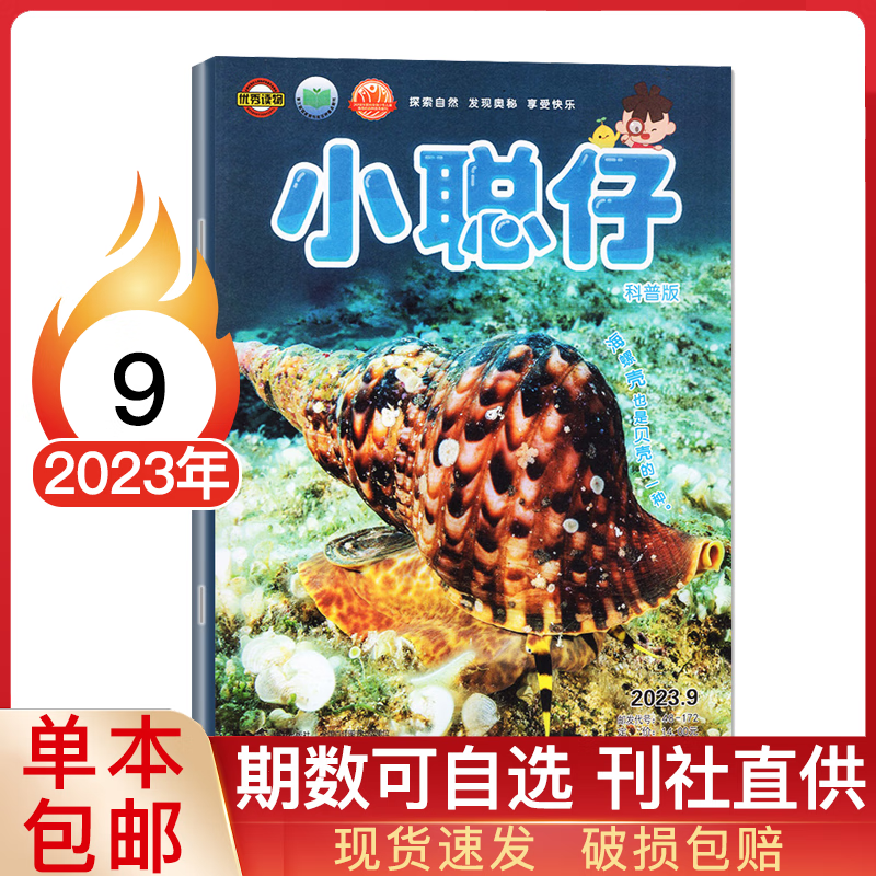 【多期可选】小聪仔（科普版）2023年2~8岁幼儿益智兴趣智力开发儿童科普期刊杂志 2023年9月