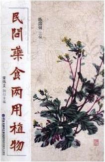 民间药食两用植物 陈国强主编 福建科学技术出版社