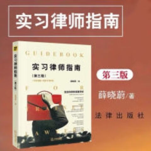 2021 实习律师指南 第三版 薛晓蔚 民事诉讼刑事诉讼行政诉讼律师 实习律师指南（修订版）