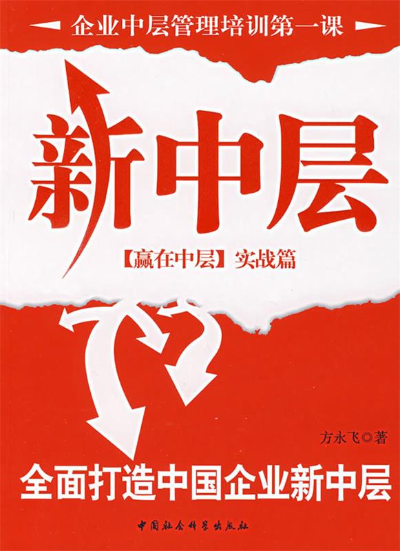 新中层 方永飞 著
