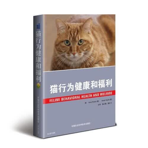 猫行为健康和