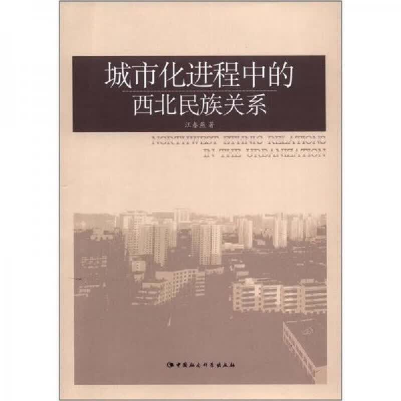 城市化进程中的西北民族关系