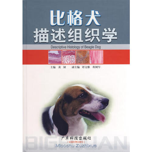 比格犬描述组织学【好书】