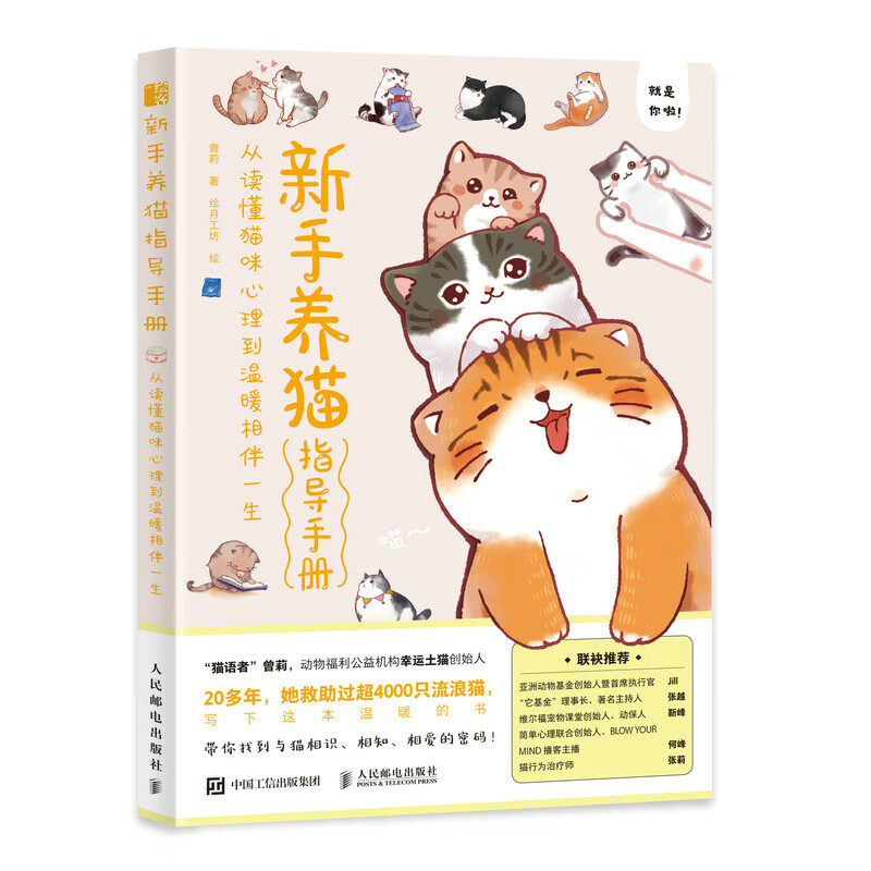 新手养猫指导手册:从读懂猫咪心理到温暖相伴一生