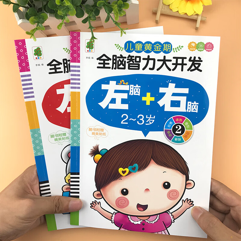 儿童2-3岁全脑开发3-4岁黄金期左右脑大开发逻辑思维训练3-6岁智力开发益智玩具动手动脑幼儿2到3-4-5-6岁以上专注力训练书籍 全脑智力大开发左脑+右脑2-3岁 全2册