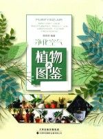 净化空气植物大图鉴