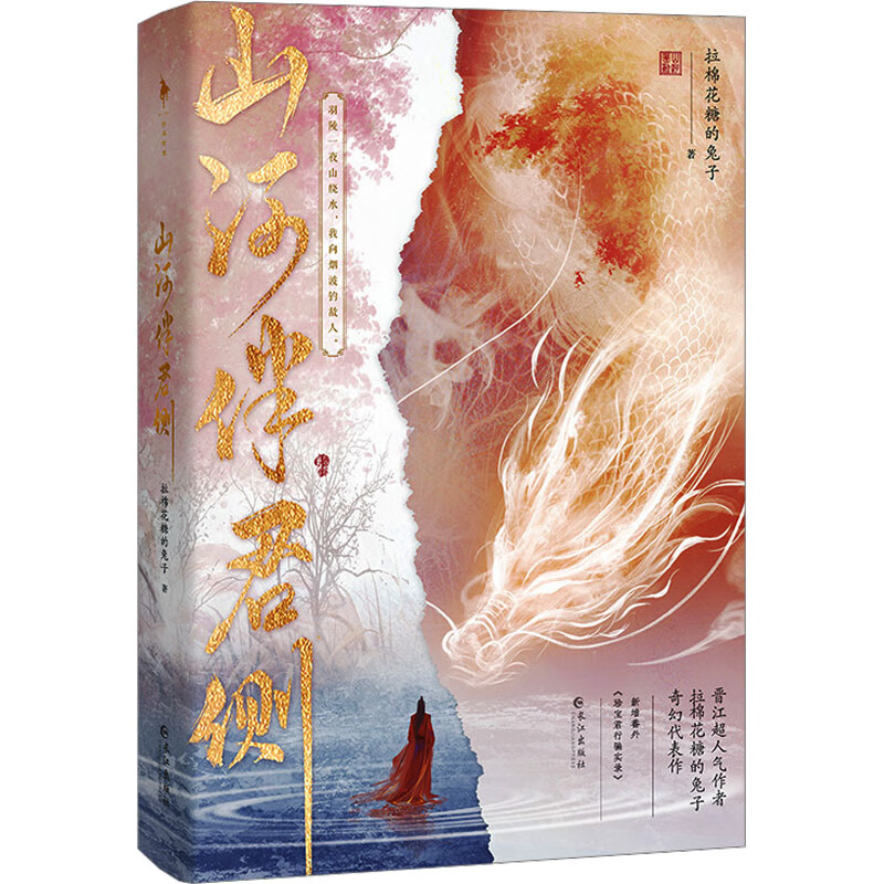 山河伴君侧 图书