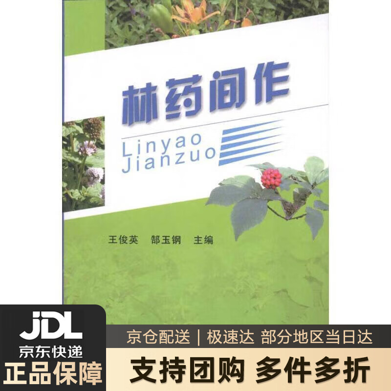 【 送货上门】林药间作