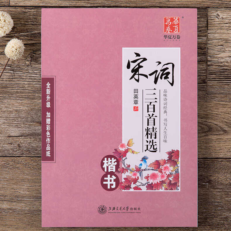 田英章楷书字帖硬笔行书字帖唐诗宋词三百首书法练字本古诗词练字 宋词三百首-楷书