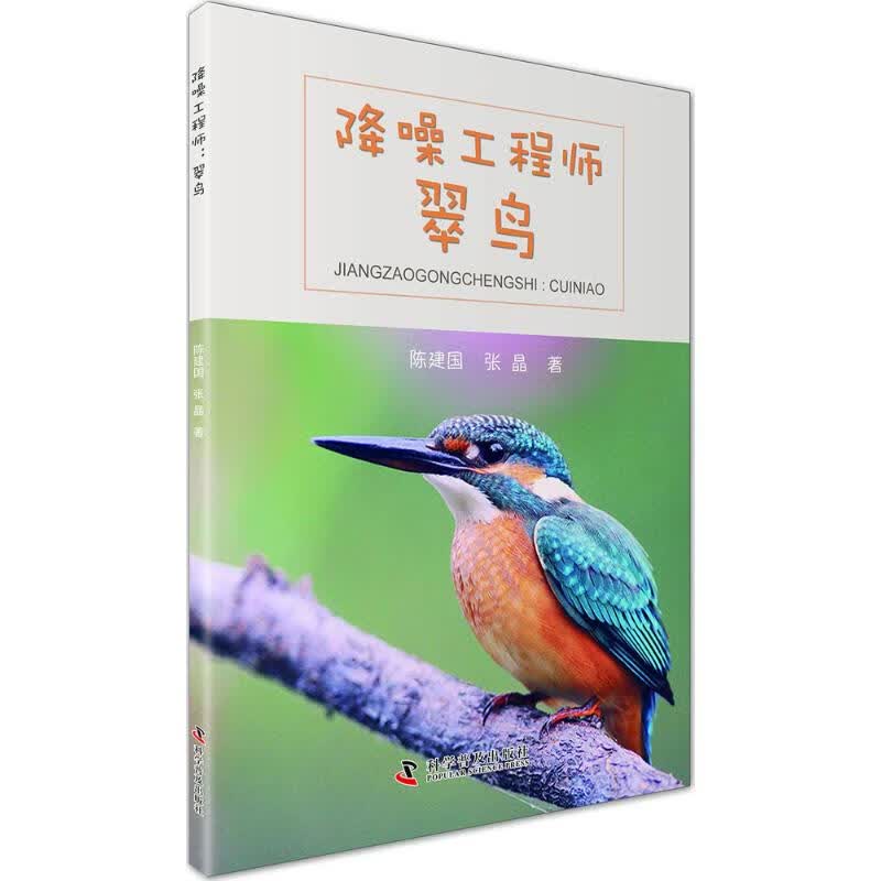 降噪 陈建国,张晶 著 科普读物/百科知识
