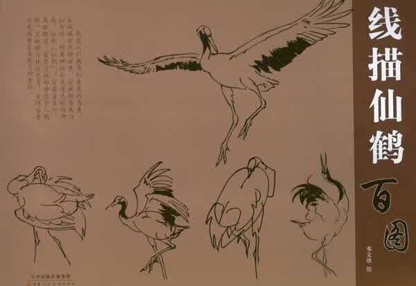 线描仙鹤百图 邓文欣, 绘 天津人民美术出版社