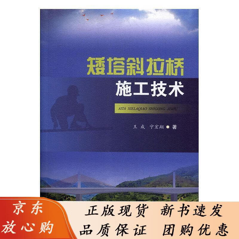 矮塔斜拉桥施工技术 王成,宁宏翔 9787564360351