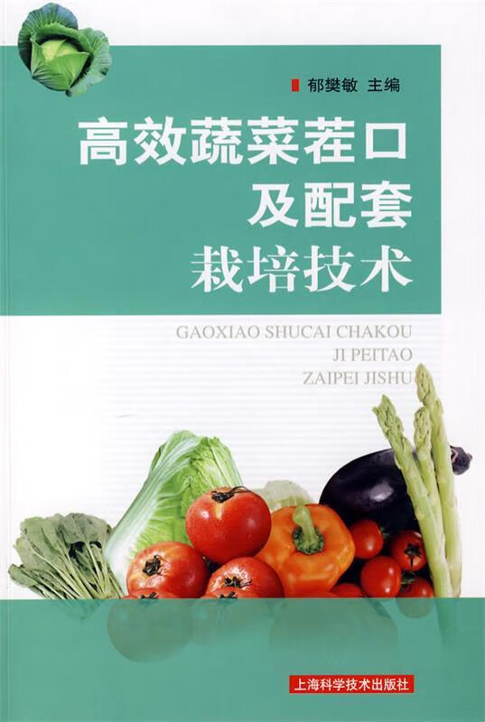 高效蔬菜茬口及配套栽培技术