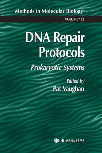 DNA Repair Protocols