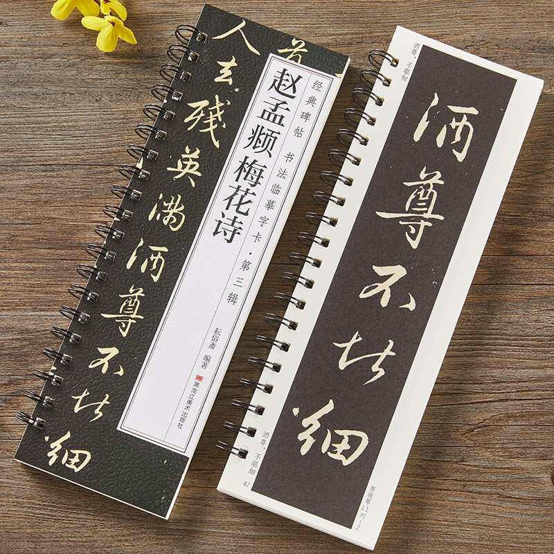 元赵孟頫梅花诗行书毛笔书法字帖原大加放大赵孟俯经典碑帖临摹字卡全文初学者入门练距离临帖卡诗帖 赵孟頫梅花诗字卡