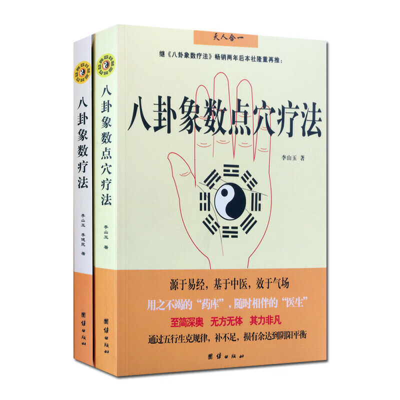 八卦象数疗法（京东套装2册）——《八卦象数疗法》《八卦象数点穴疗法》