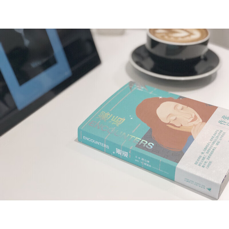 邂逅 张小溪 著 绘画