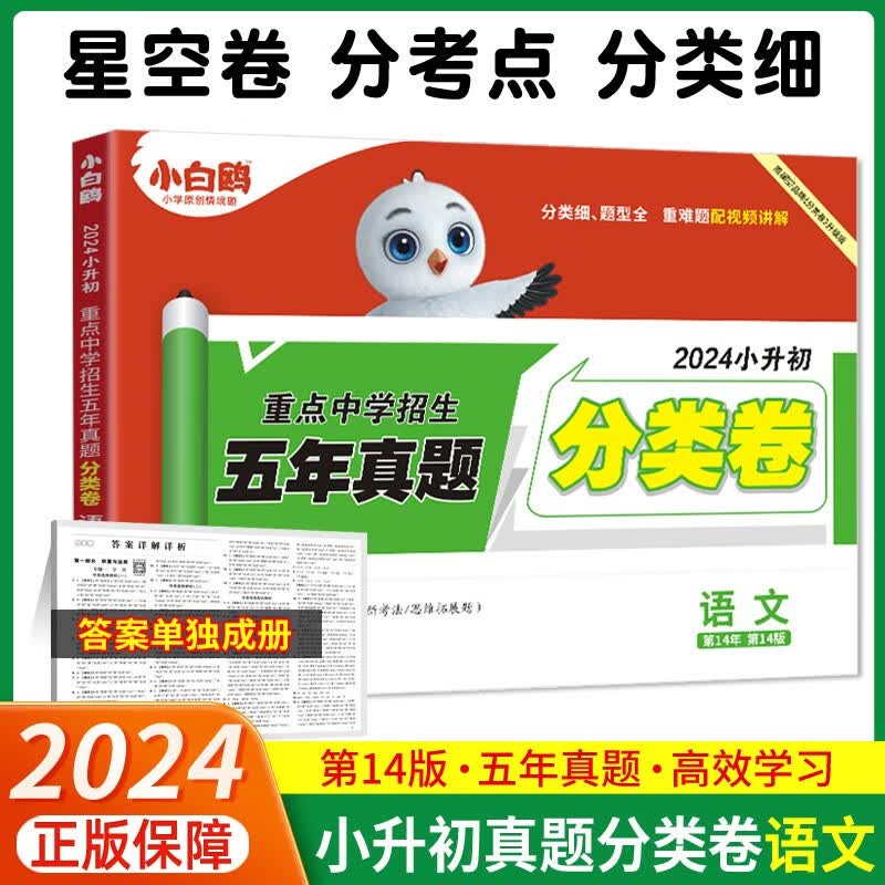 2024版小白鸥小升初真题分类试卷语文重点中学招生五年真题小学毕业总复习专含答案解析共2册