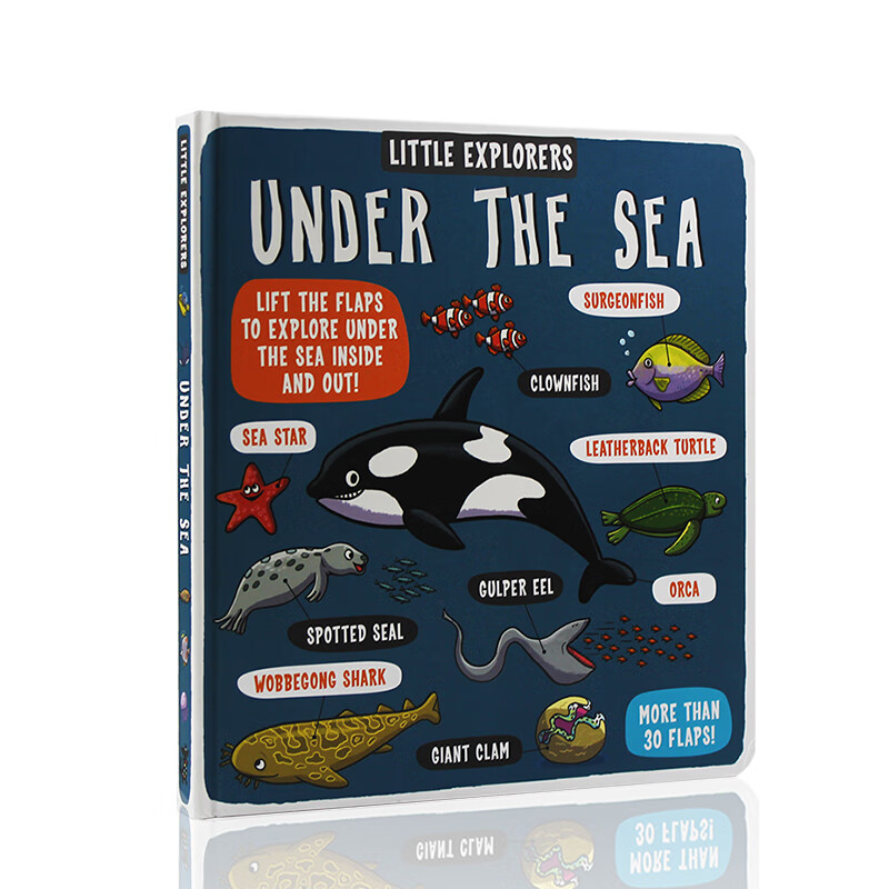 小小探险家科普翻翻书海底世界 Little Explorers: under the sea