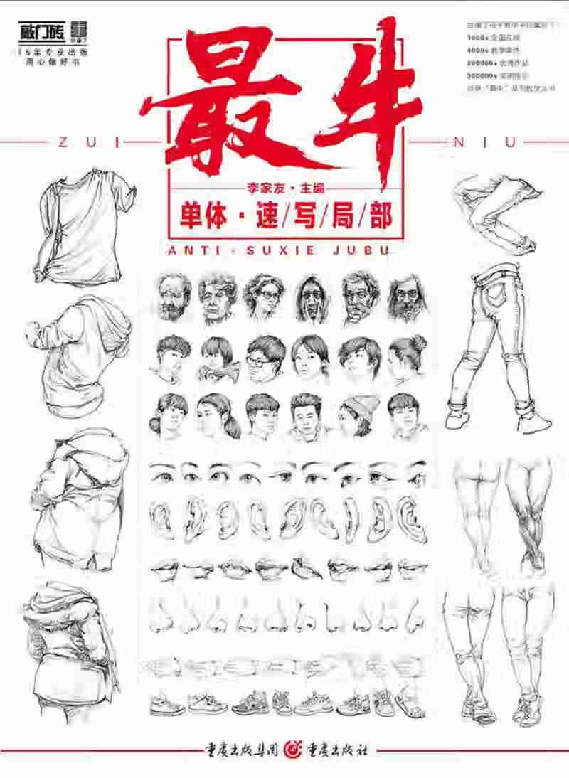 牛单体 速写局部【现货】