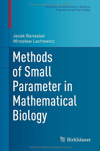 Methods of Small Parameter in Mathematical Biology