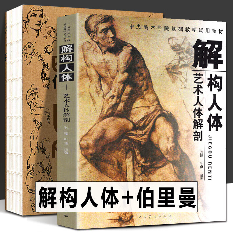 【2册548页】解构人体【第二版】+伯里曼人体结构绘画教学 中央美术学院入门基础教材教程骨骼肌肉全身艺术