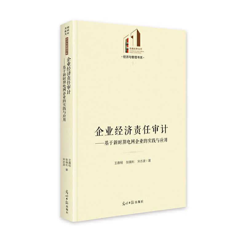 企业经济责任审计：基于新时期电网企业的实践与应用