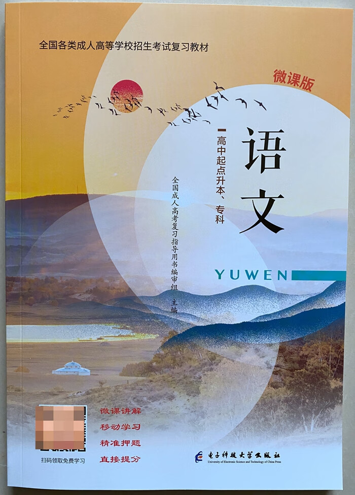 全国统一高考高升专专升本考试辅导用书电子科技大学出版社 语文