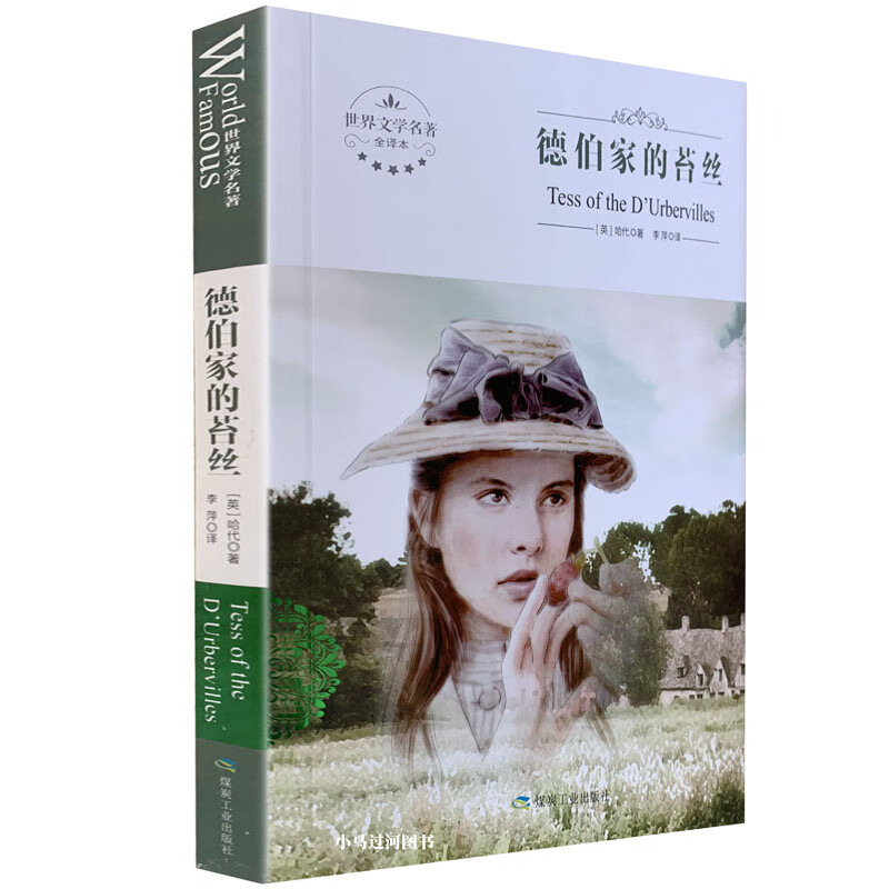 德伯家的苔丝(全译本) 煤炭工业出版社 世界文学名著 中文版 中