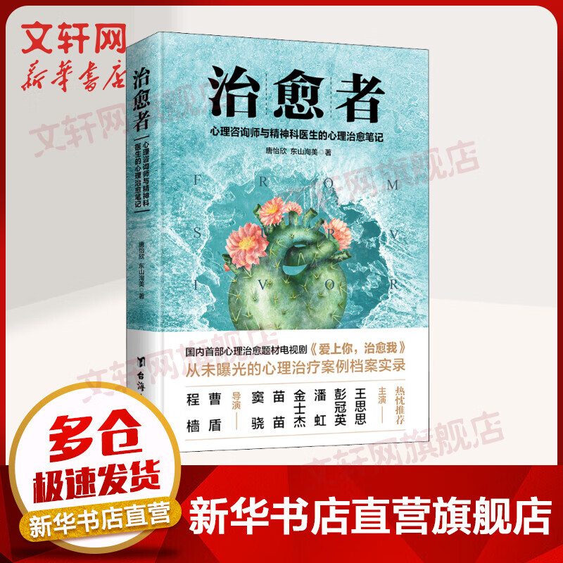 治愈者 心理咨询师与精神科医生的心理治愈笔记