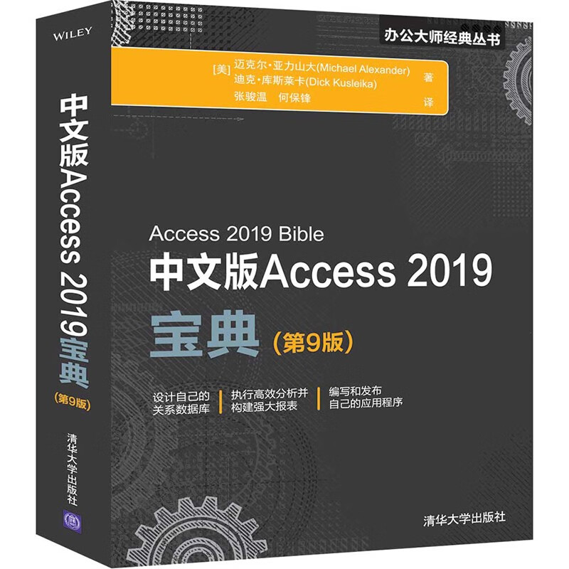 中文版Access 2019宝典（第9版）/办公大师经典丛书