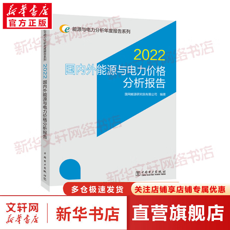 国内外能源与电力价格分析报告 2022 图书