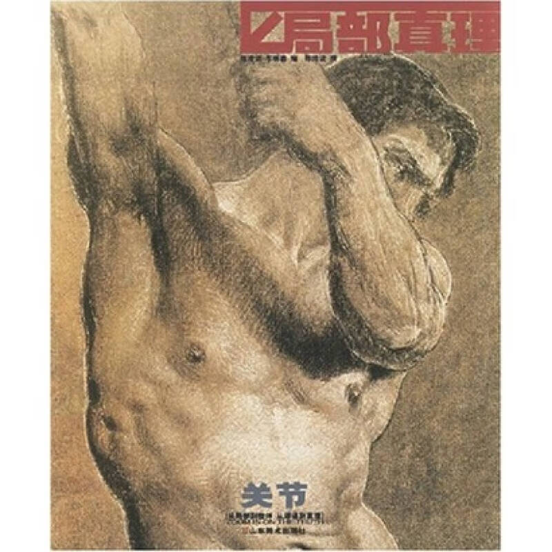 局部真理 关节【好书】