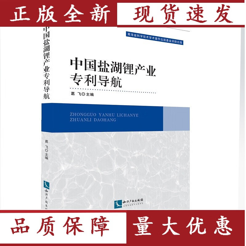 中国盐湖锂产业专利导航 法律 书籍