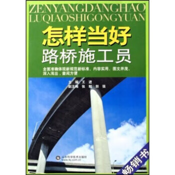怎样当好路桥施工员 王进 著 山东科学技术出版社