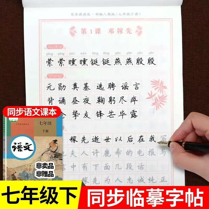 七年级下册语文字帖 初一同步练字帖部编版人教版上下2021年罗扬楷书行楷钢笔练字描红练7年级上 下册语文同步字帖 七年级/初中一年级