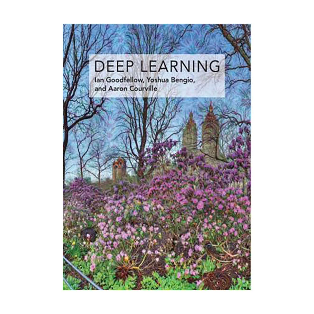 现货英文版纸质书Deep Learning 深度学习