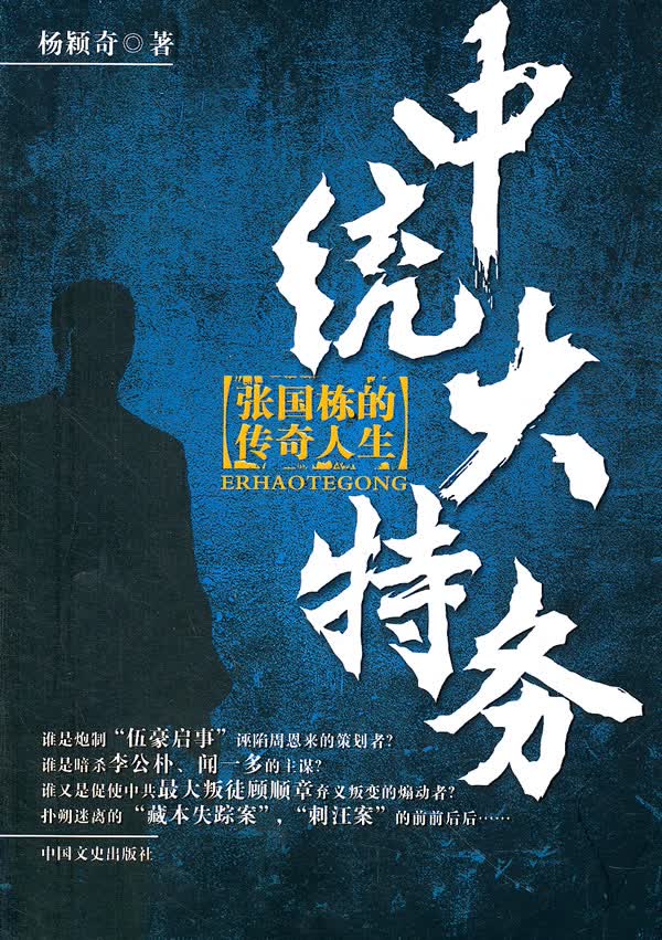 中统大特务【精选】