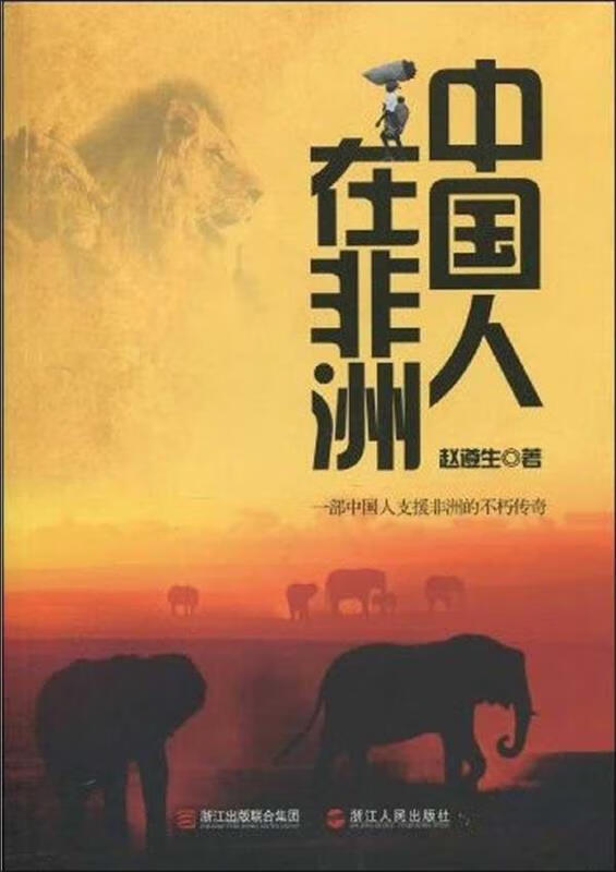 《中国人在非洲》