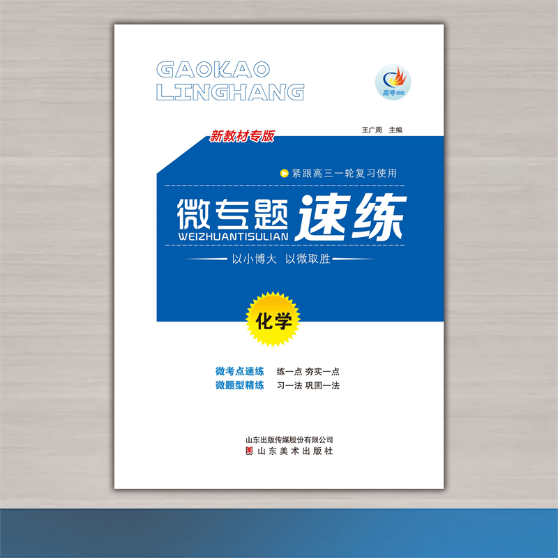 2024 化学 高考领航高考微专题 高考领航微专题速练化学（新教材专版）