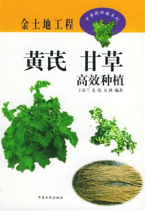 黄芪、甘草高效种植